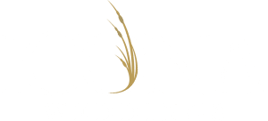 ICONA Windrift | Avalon NJ Wedding Venue