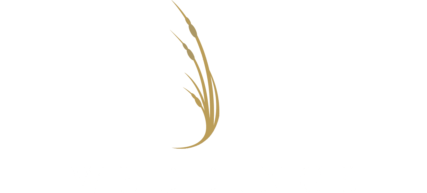 ICONA Windrift | Avalon NJ Wedding Venue
